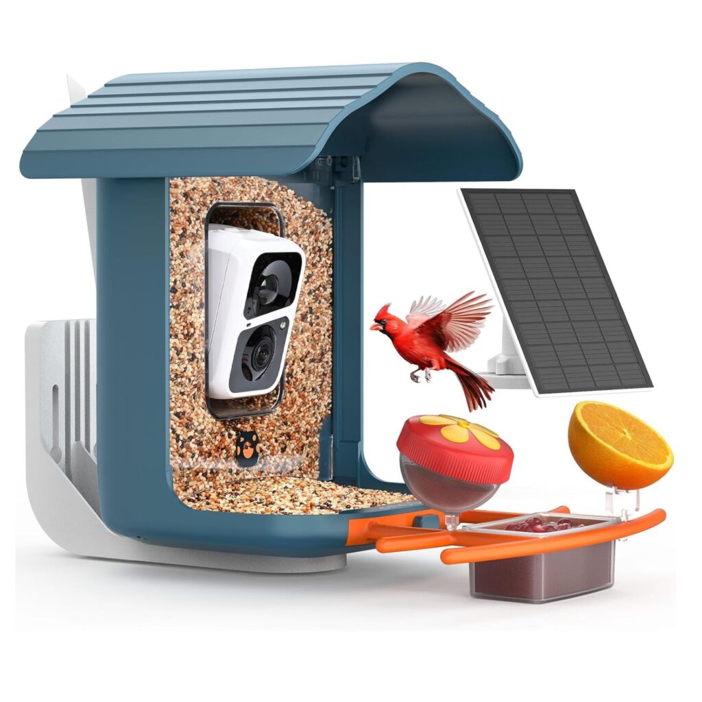 The Pregnancy Boss's 2024 Mother's Day Gift Guide - Pregnancy Boss