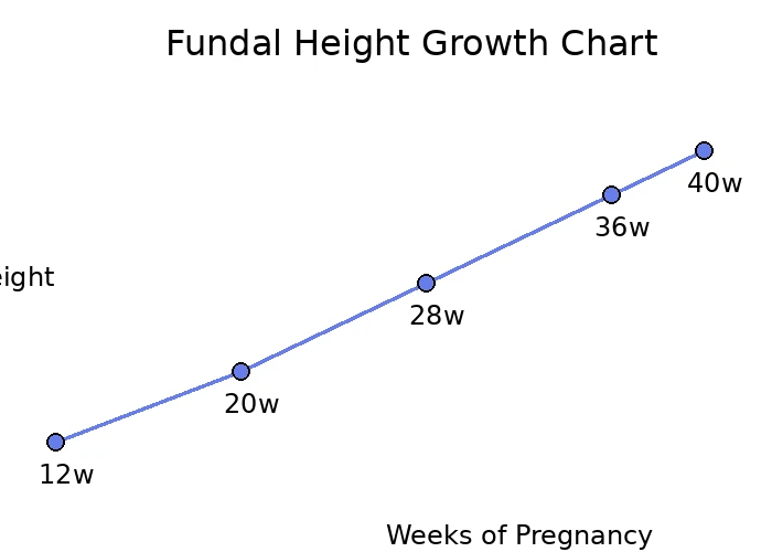 Soft Belly Vs Hard Belly During Pregnancy: What's Normal? - Pregnancy Boss